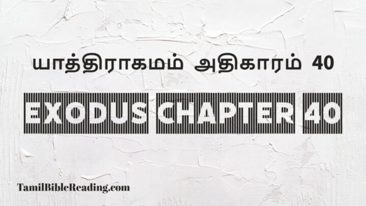 யாத்திராகமம் 40 - Exodus Chapter 40 - Online Bible Reading
