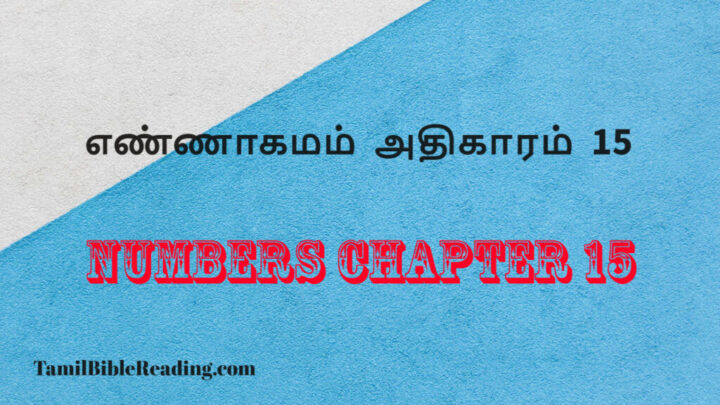 ஆதியாகமம் 6 - Genesis Chapter 6 - Online Bible Reading