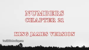 Genesis Chapter 6 - King James Version - Bible Reading
